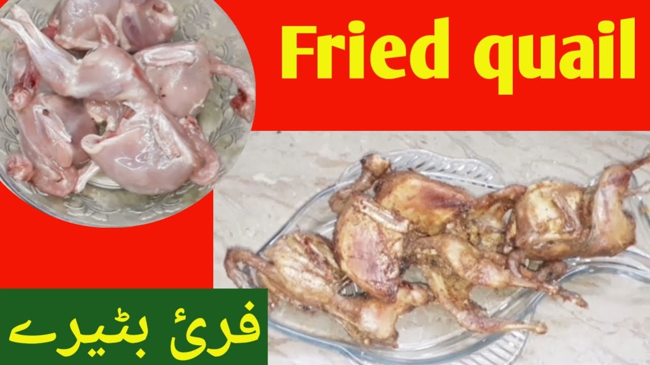 fried batair/ fry quail/ #SABSKAKITCHEN - YouTube
