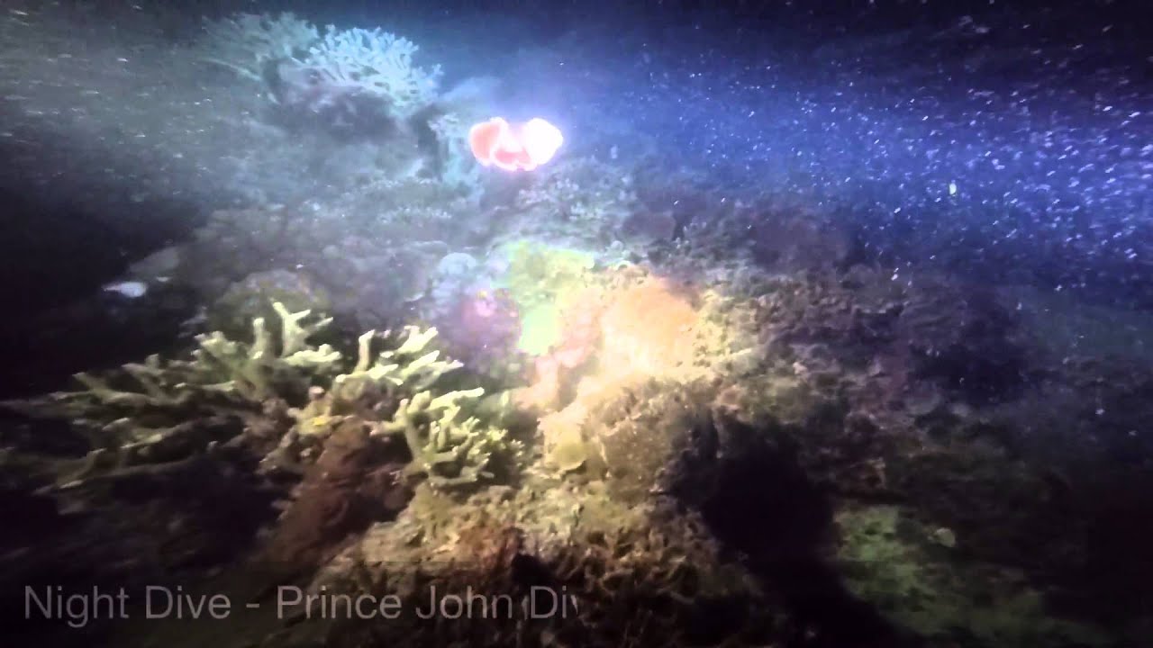 Prince John Dive Resort - The Spanish Dancer - YouTube