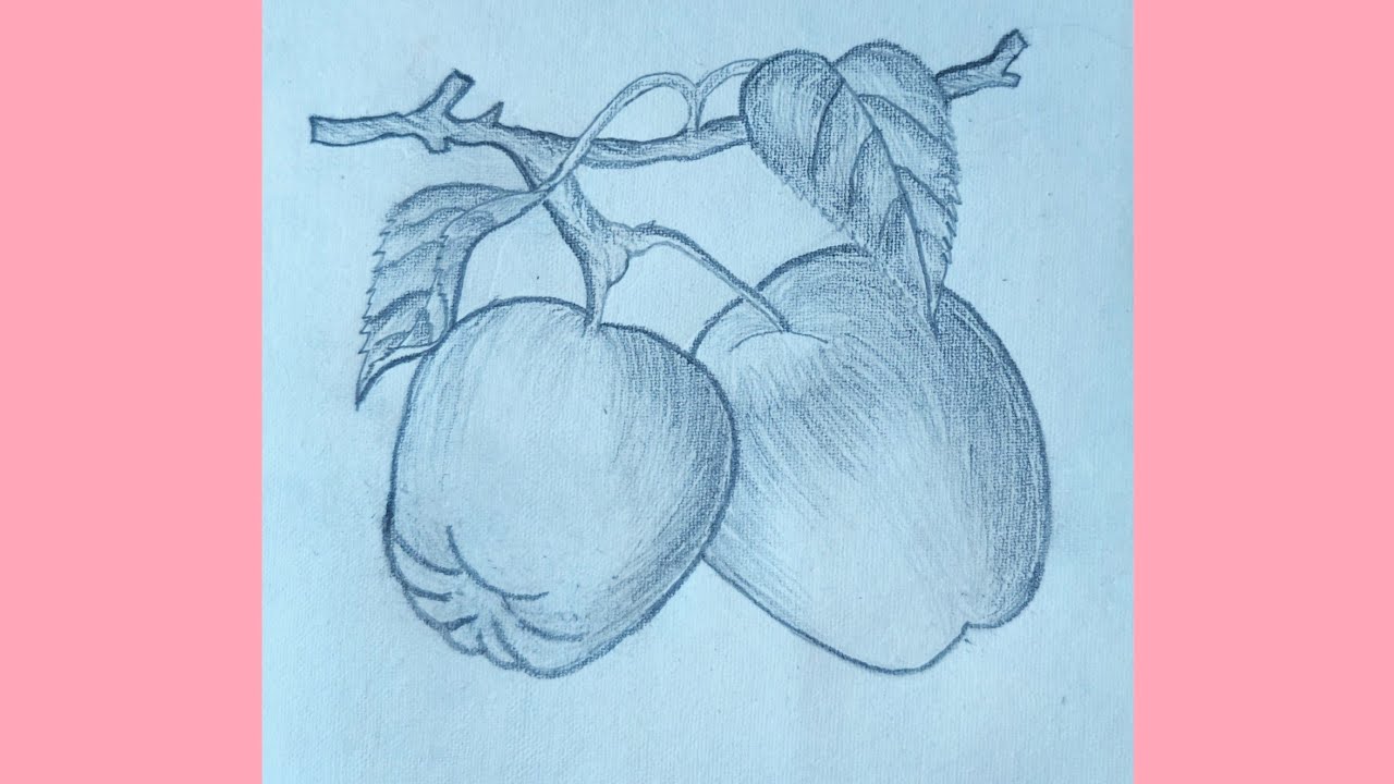 How to draw an Apple sketch @drawwithsania - YouTube