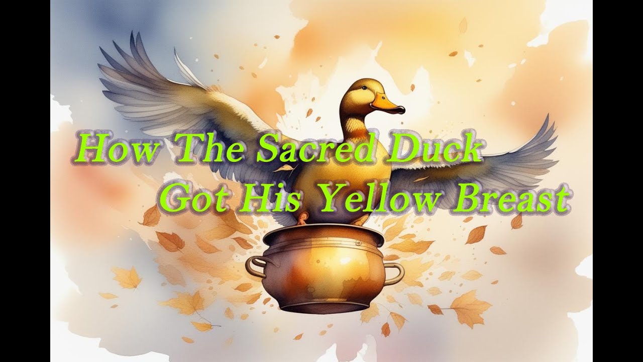 A Tibetan Folk Tale - How The Sacred Duck Got His Yellow Breast - YouTube