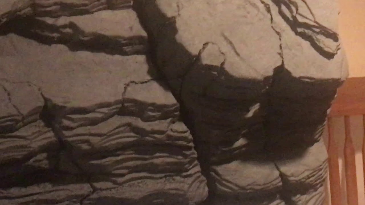 75 Gallon US Native Stream Tank DIY Styrofoam Rock Wall - YouTube