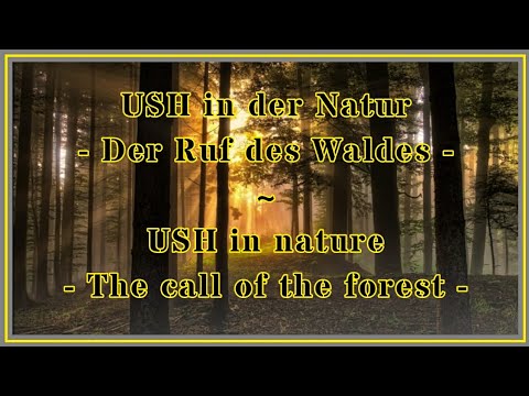 Urbex|Lost Places - USH in der Natur - Der Ruf des Waldes #Natur #ASMR ...