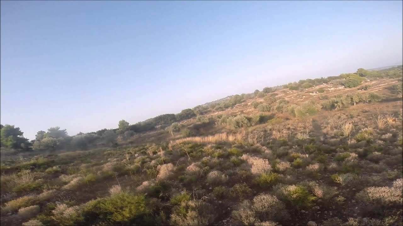 ortikia double - YouTube