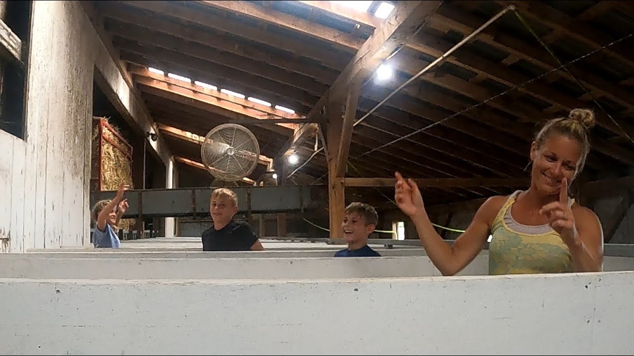 School Bus, Calf Stalls and Kickball - YouTube