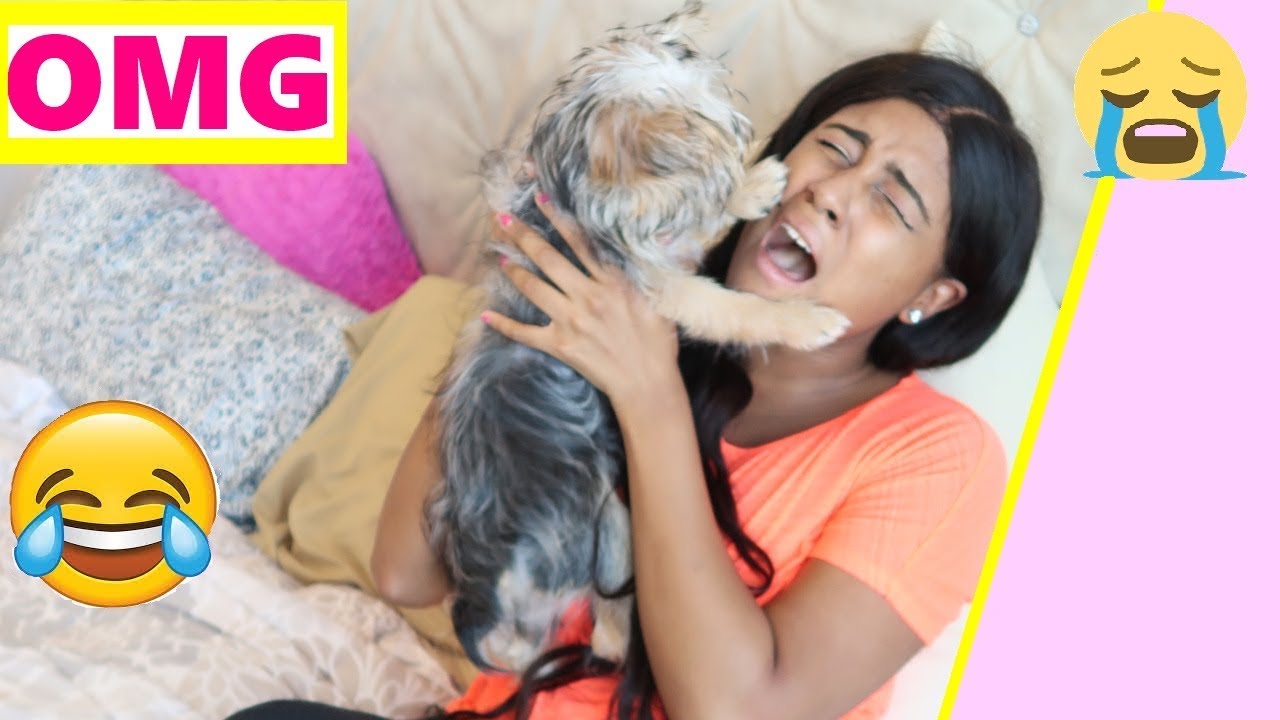Funny Dog Reaction to me Crying PRANK (CUTE REACTION ) - YouTube