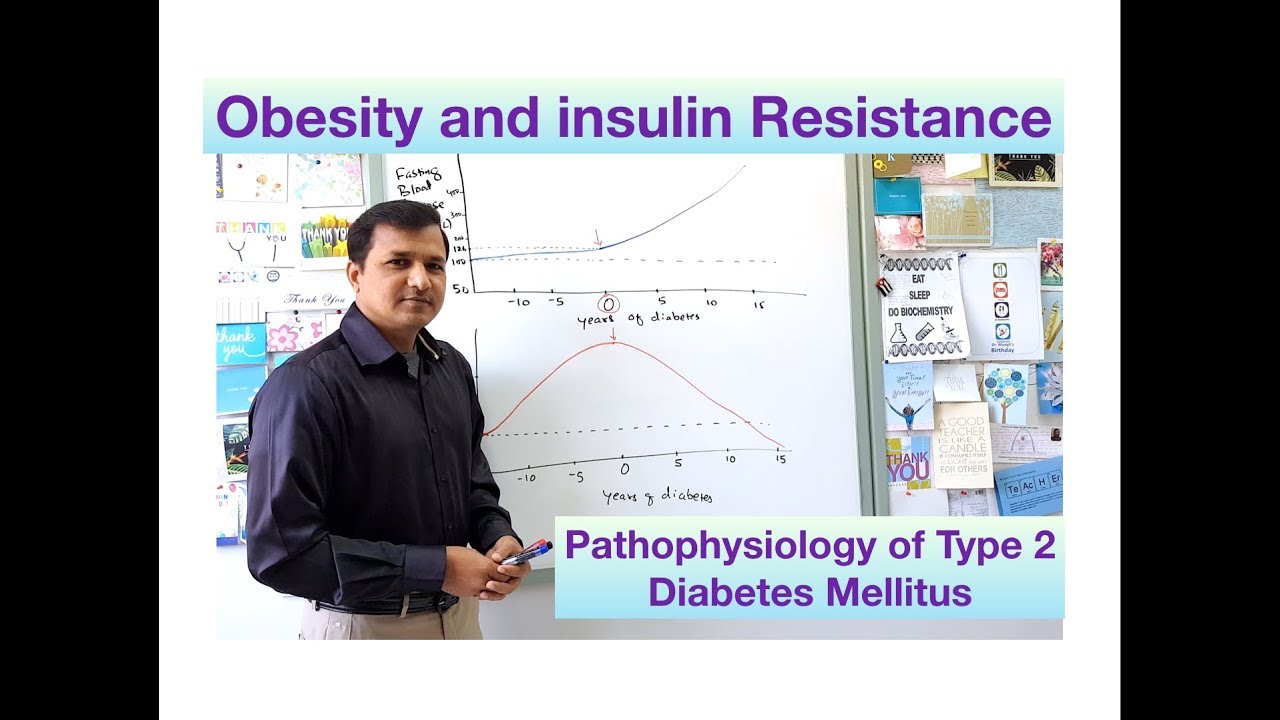 Pathophysiology of type 2 Diabetes Mellitus - YouTube