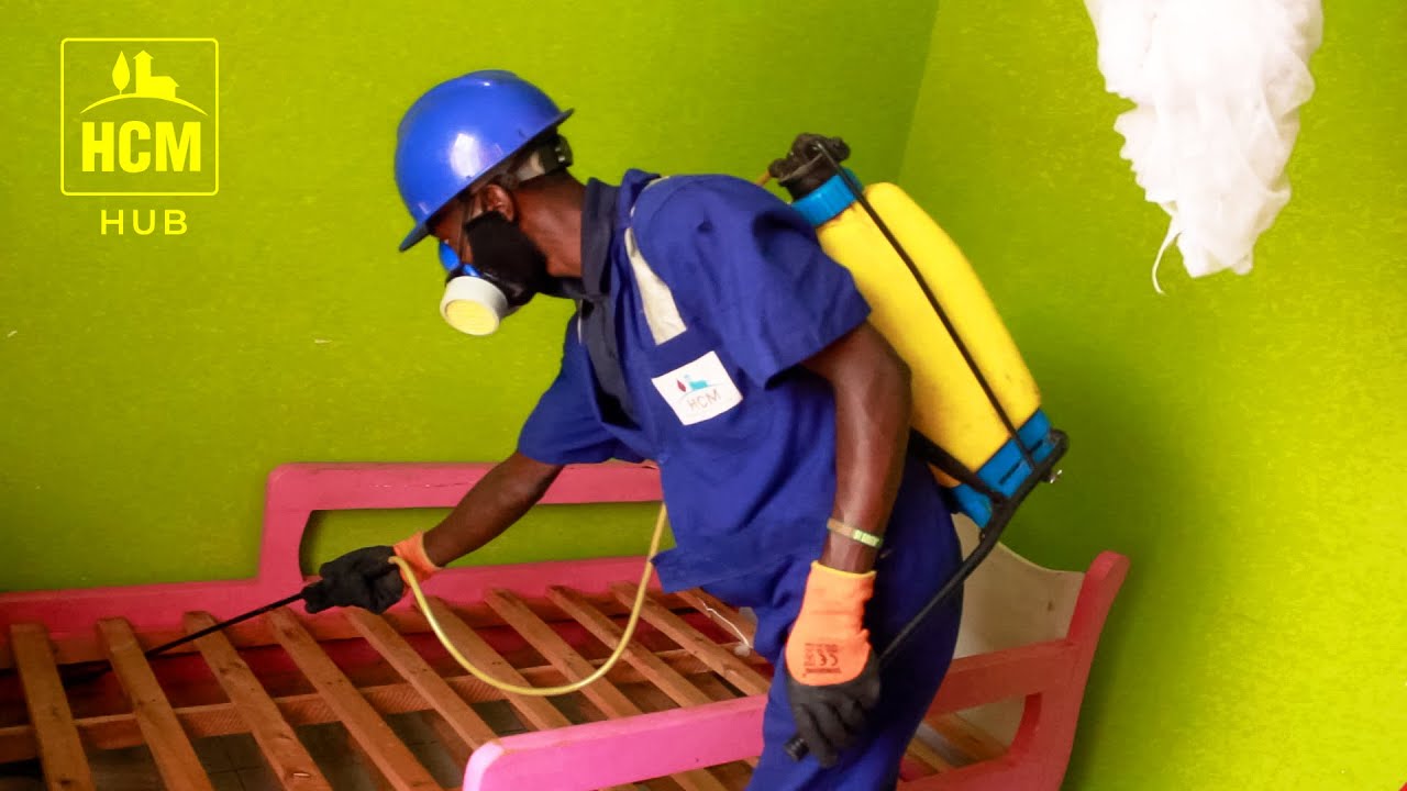 How to get rid of pests and insects safely and effectively - YouTube