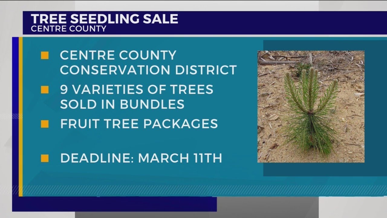Centre County Conservation District opens sale for tree seedlings - YouTube