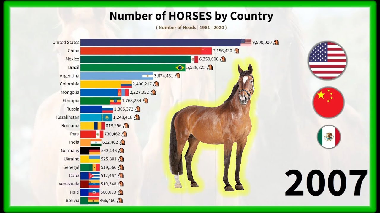 Number of HORSES by Country 🐴 - YouTube