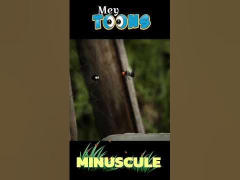 Minuscule | jaring laba laba, animasi lucu,animasi serangga,kartun lucu #animasi #minuscule # ...