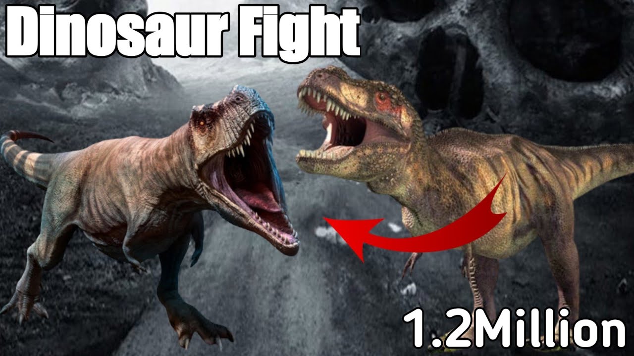 Dinosaur Fight Video - YouTube