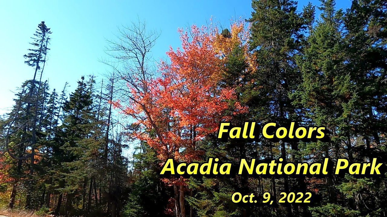 Fall Colors Acadia National Park - Oct. 9, 2022 - YouTube