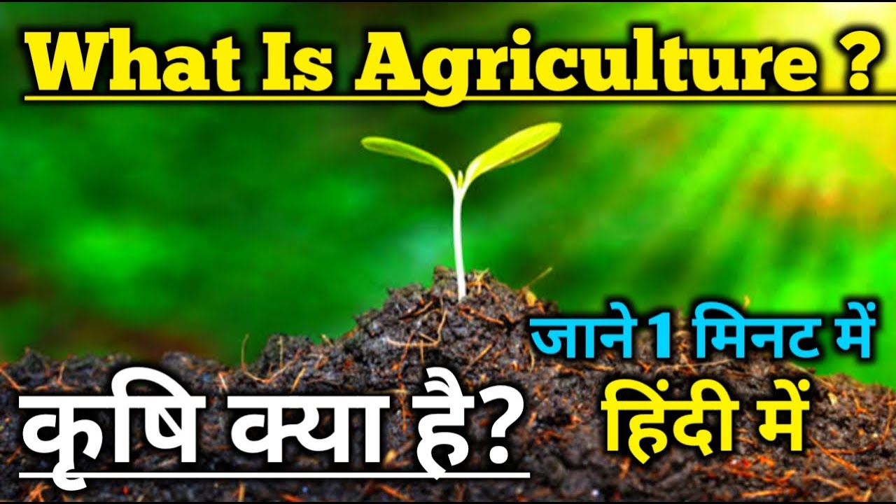 What Is Agriculture In Hindi Agriculture Kya Hota Hai Agriculture what-is-agriculture-in-hindi-agriculture-kya-hota-hai-agriculture