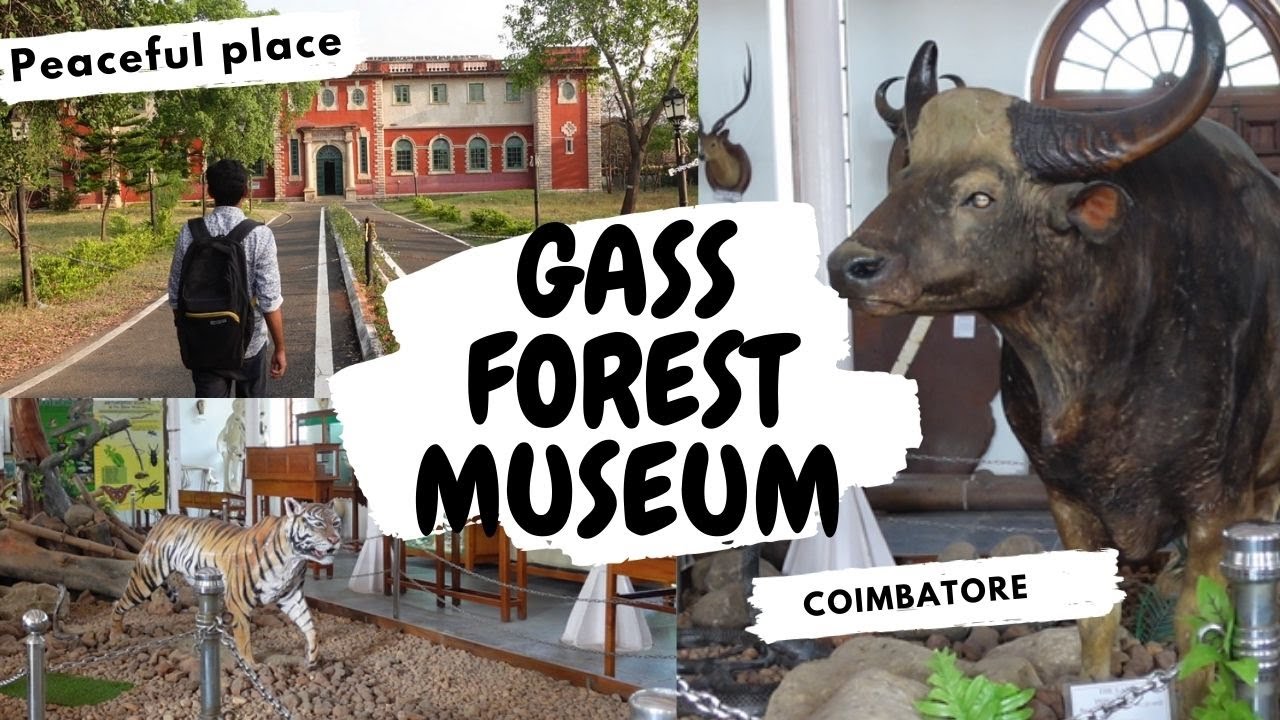 Gass forest museum | Peaceful place |Places to visit near coimbatore ...