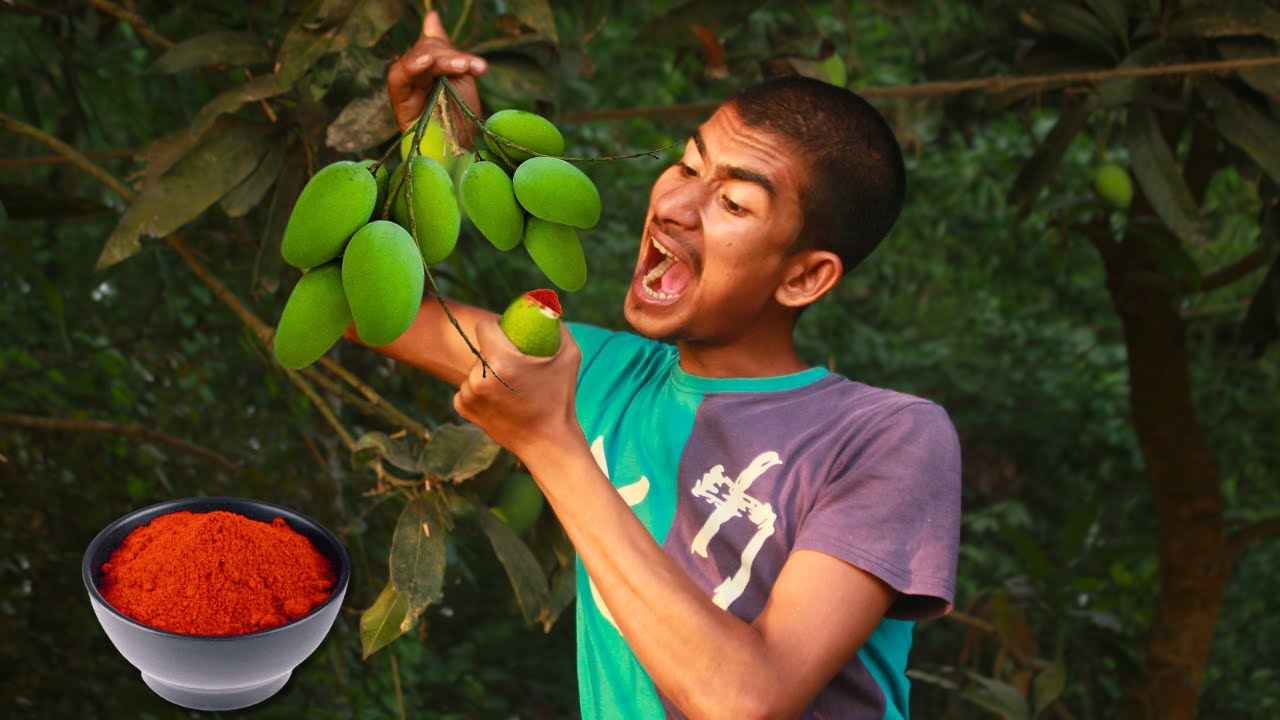 Survival in the forest - Eating mango with salt peppers delicious - YouTube