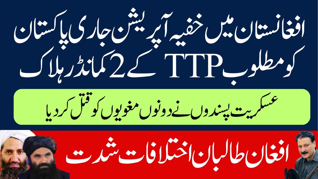 Two senior commanders of the Tehreek-e-Taliban Pakistan (TTP) were ...