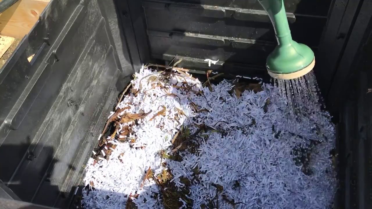 The Basics of Starting a Compost Bin - YouTube