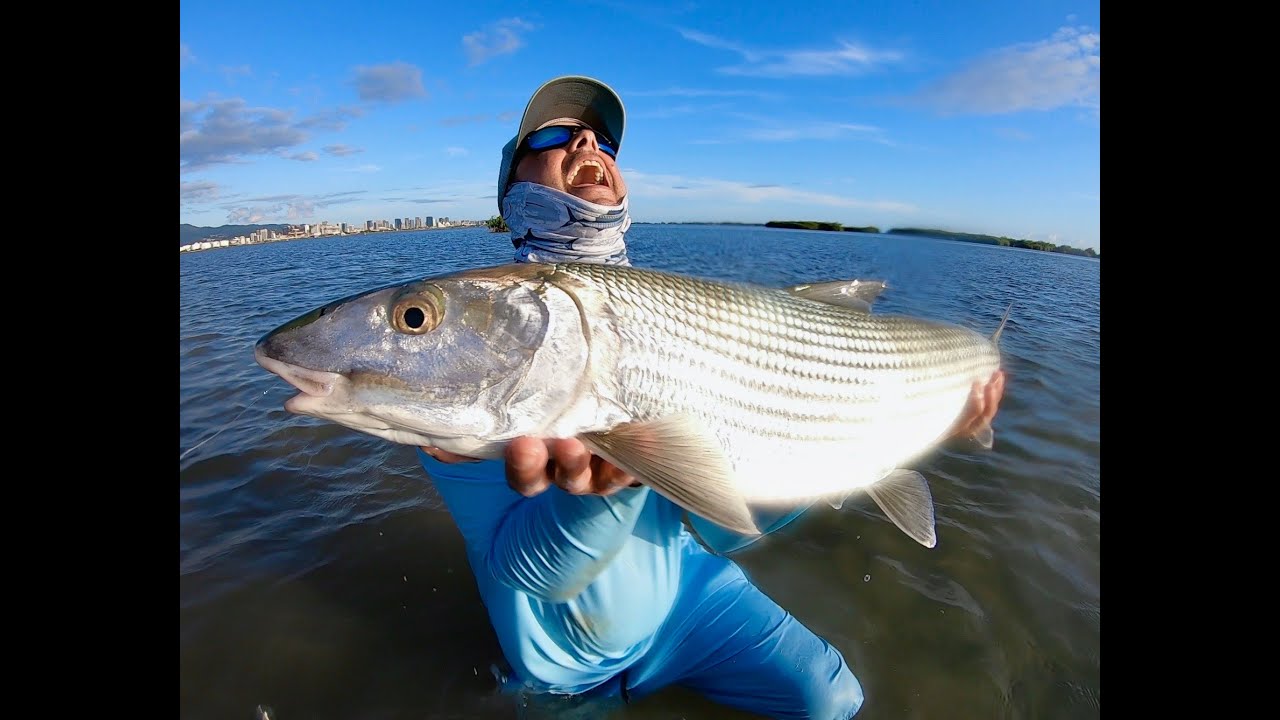 Fishing the flats of Oahu for Huge Hawaii Bonefish - YouTube