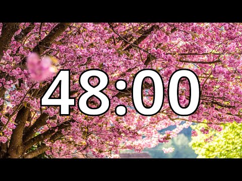 48 Minutes Timer with Music | Cherry Blossom Timer