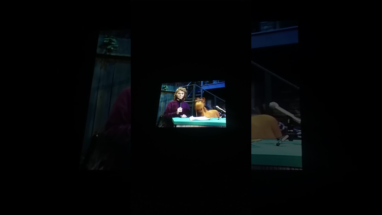 Sesame Street Episode 2669 Ending - YouTube