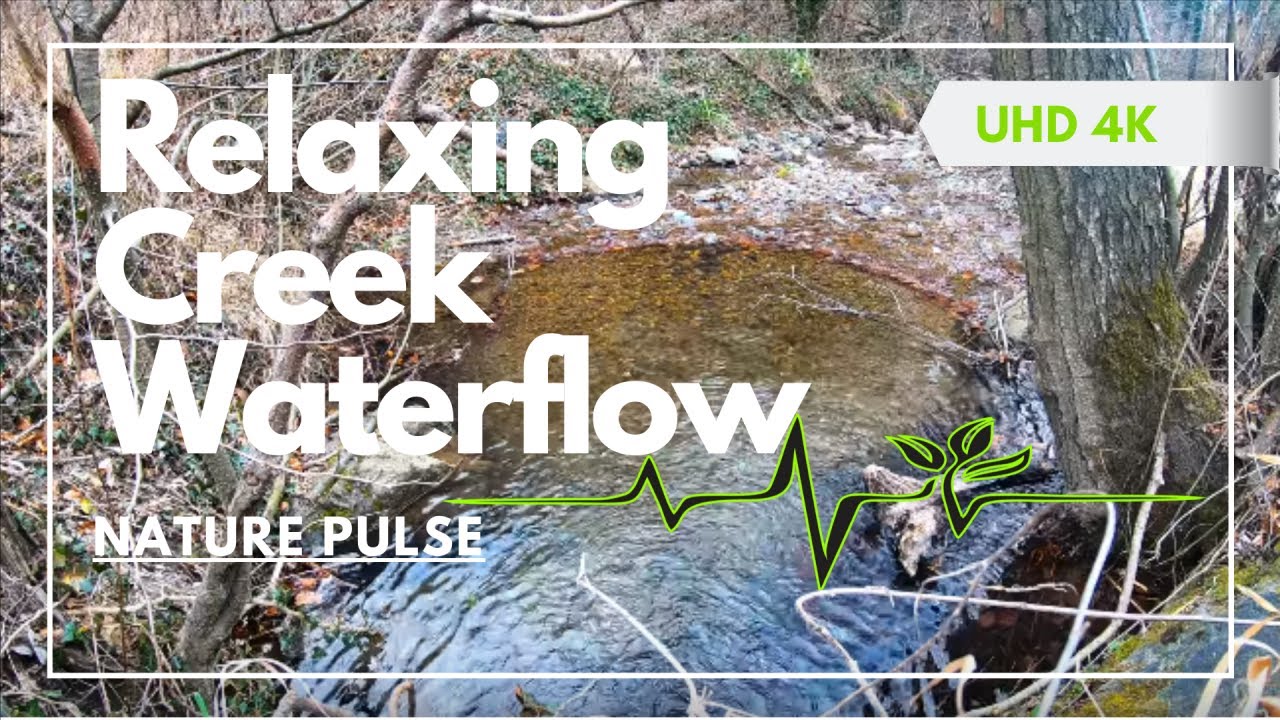 Creek Water Flow Relaxing Sound Of Nature Ultra HD 4k - YouTube