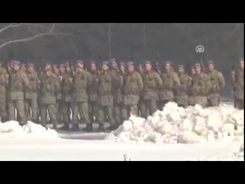 Türkiye 'nin aslanlari