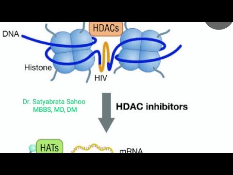 HDAC inhibitors - YouTube