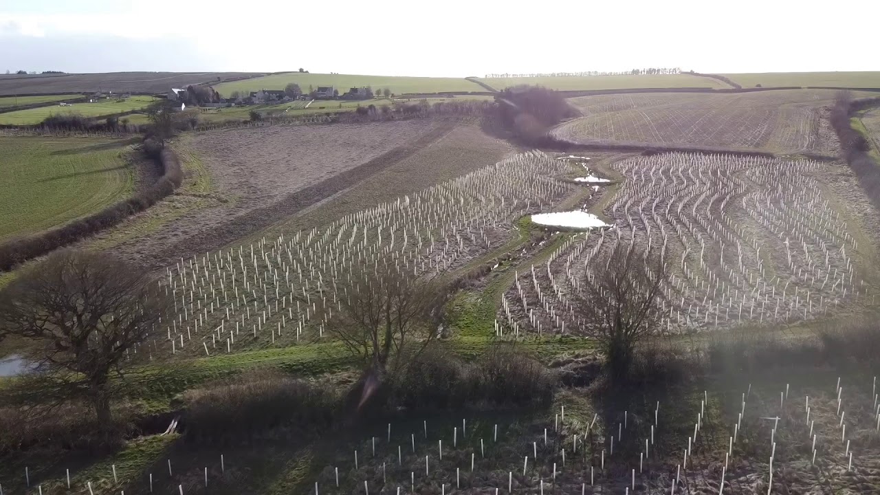 Evenlode Natural Flood Management Project. Littlestock Brook. Drone ...