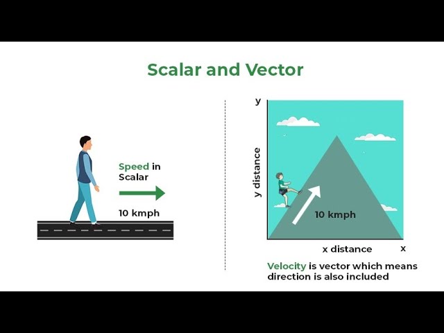 Stunning Vectors Vs Scalars Photos Scalar Or Vector Word Scramble