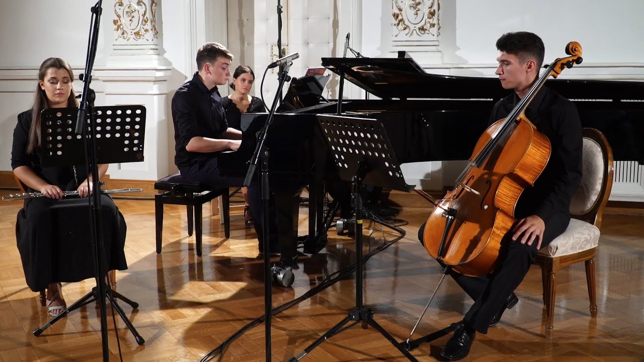 Trio Reformed (Chamber Music Festival Novi Sad 2019) - YouTube Music