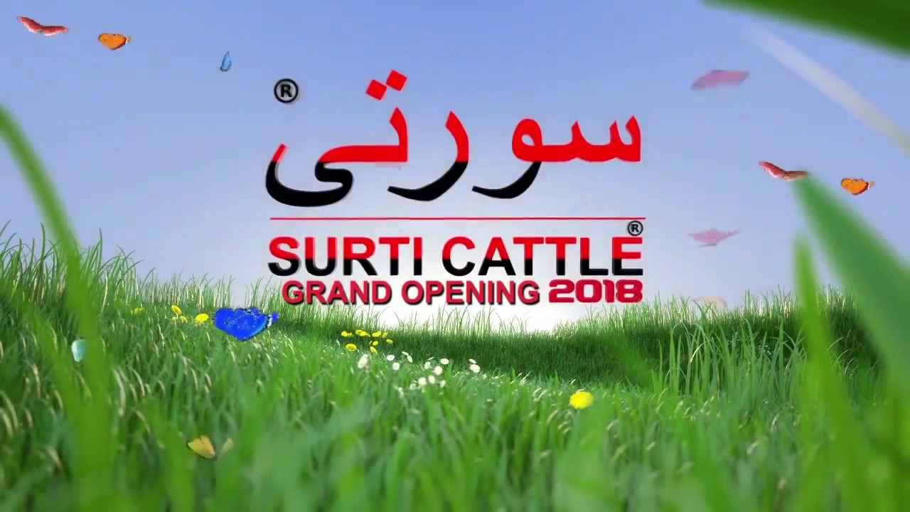 2018 Grand Opening of Surti Cattle Farm | VC - YouTube