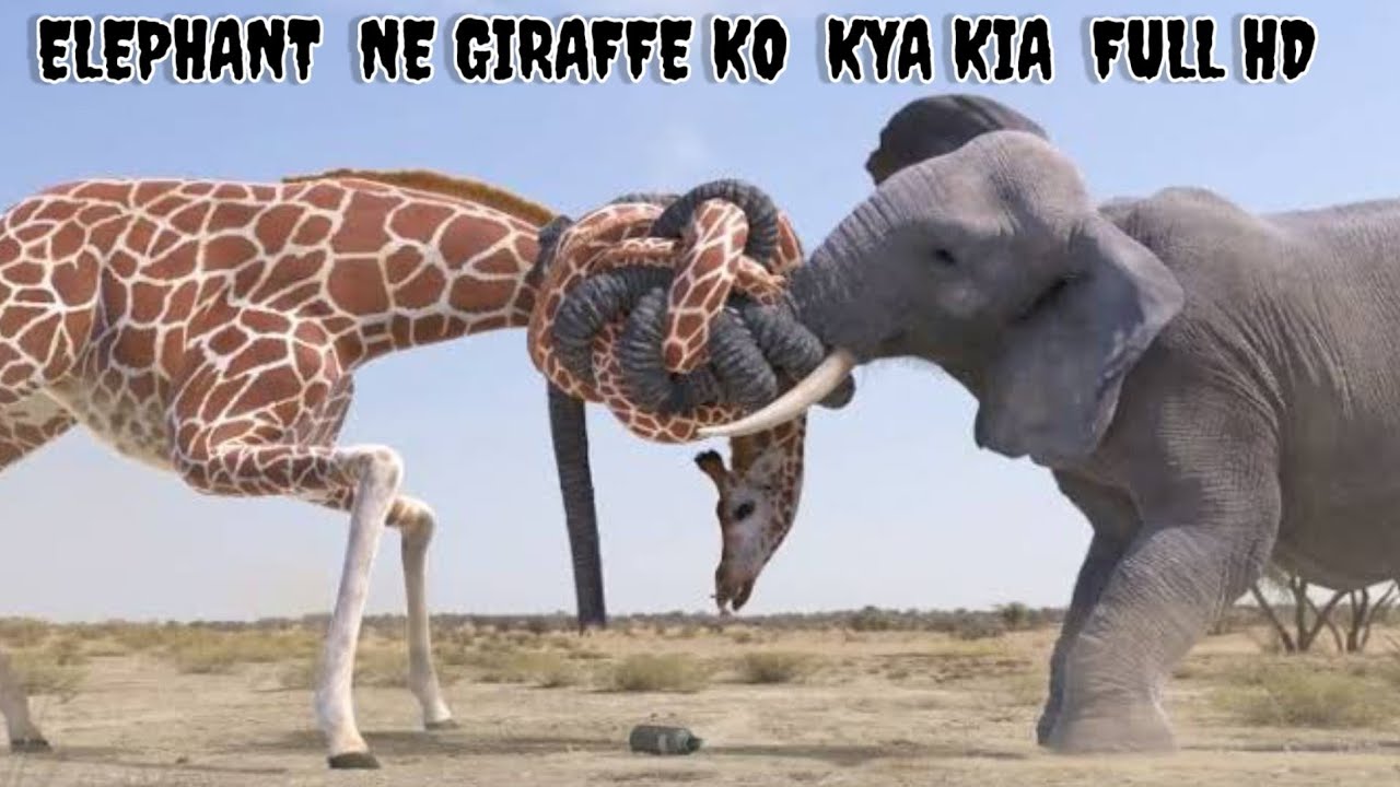 Giraffe attack videos,animal attack,animal park power - YouTube