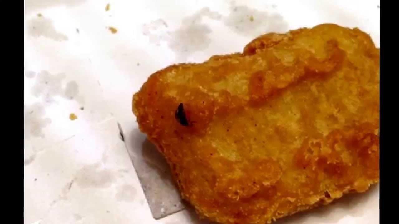 Fly on my Chicken Nugget :( - YouTube