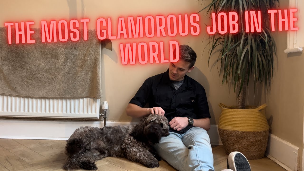 This is the MOST GLAMOROUS job in the world!! - Dog Grooming - YouTube
