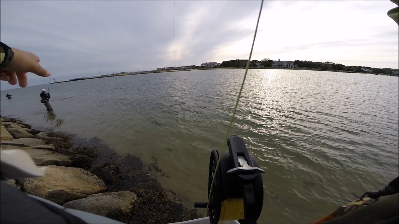 Hooking Chaser Fish at with a popper fly - YouTube