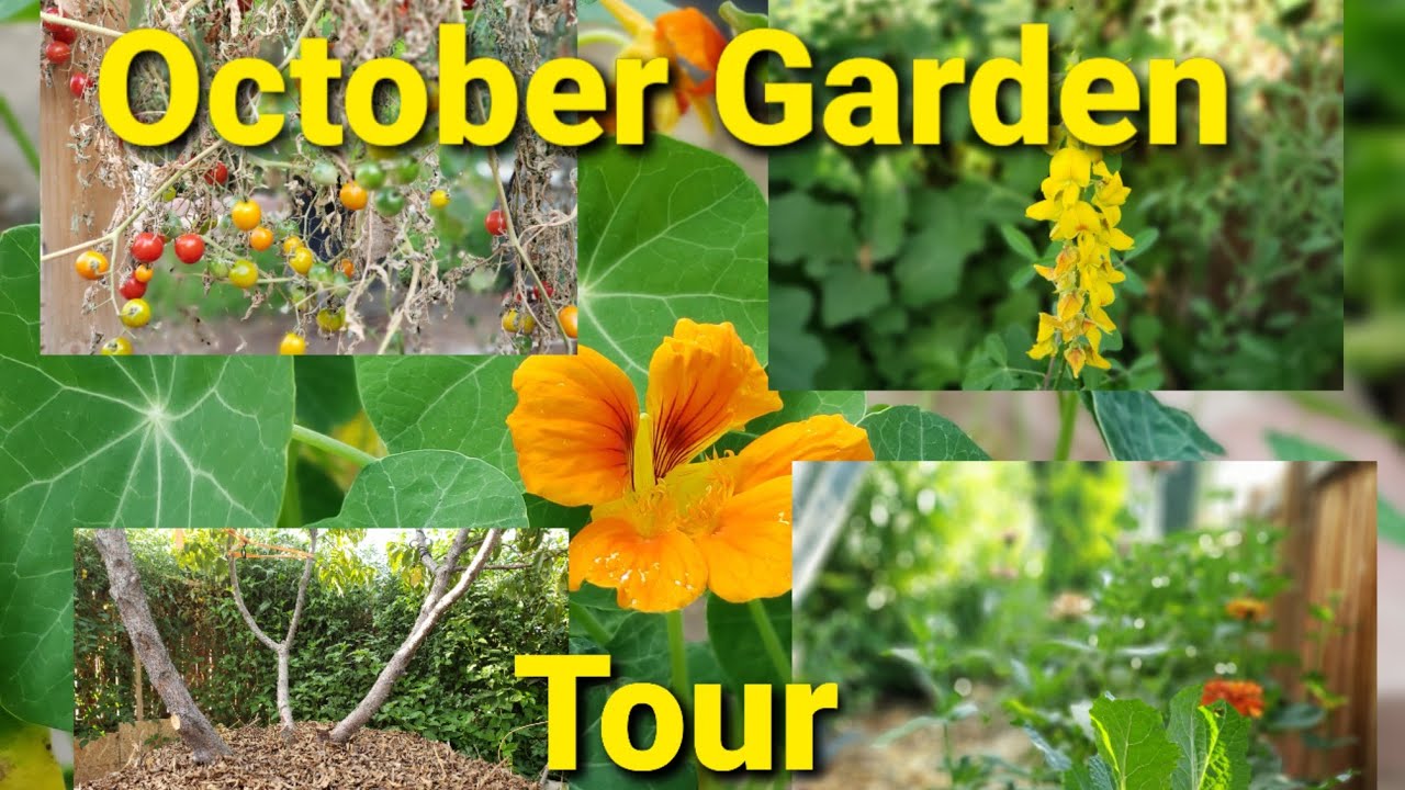 October Garden Tour - YouTube