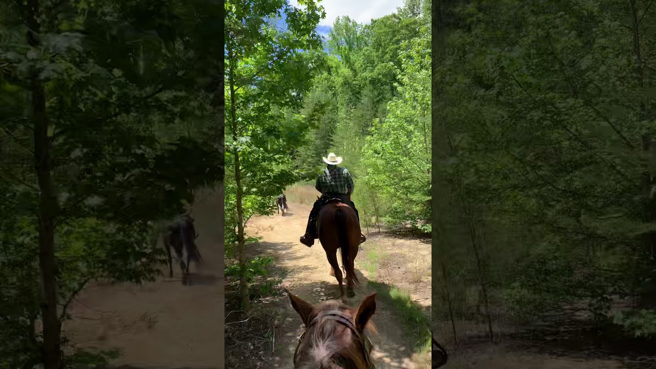 June 1 2020 YouTube june-1-2020-youtube