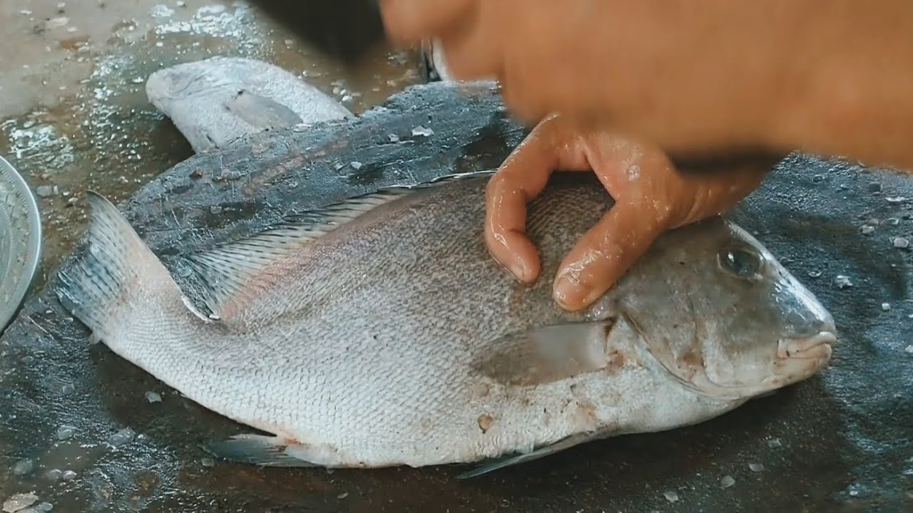 fish cutting skills best fishing cutting - YouTube