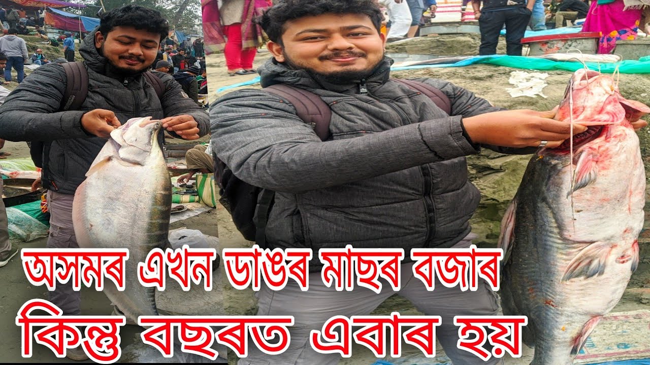 Assam Biggest Fish Market - Assamese View - YouTube