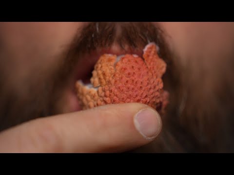 Fresh Lychee ASMR Short 荔枝 - YouTube