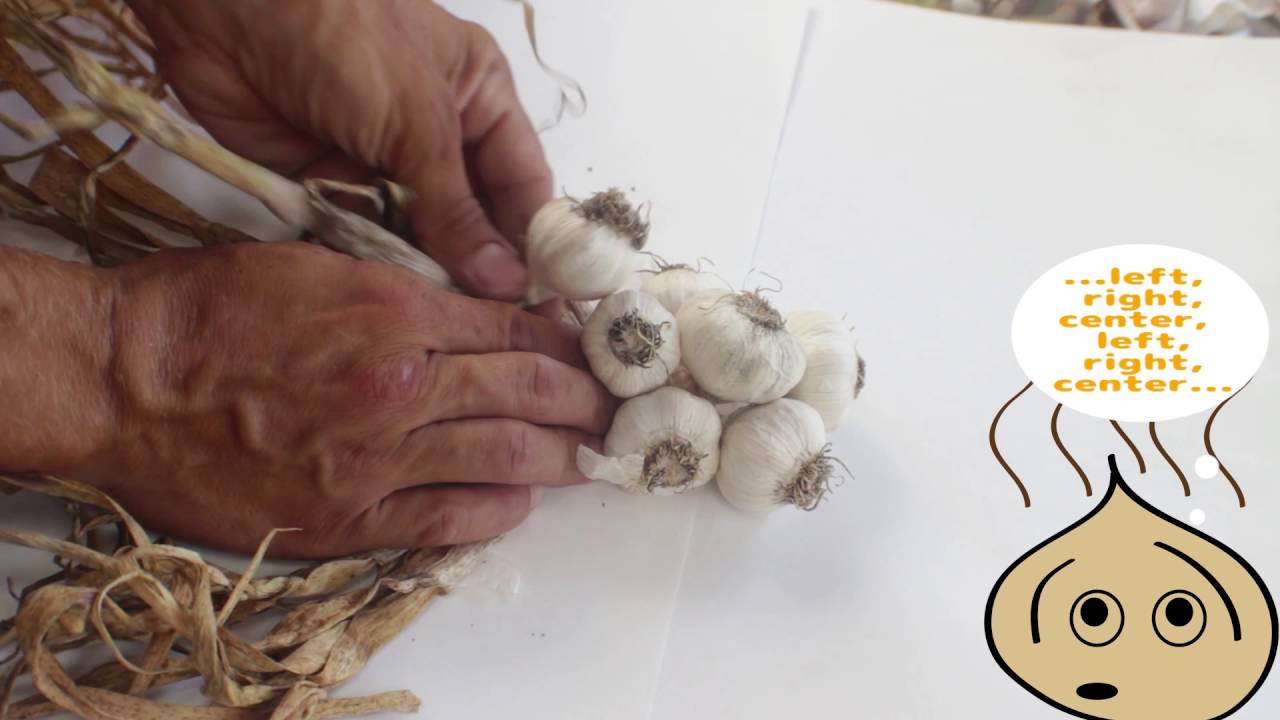 How to mak a Garlic Braid (English) | Let's DIY by Michael Keida - YouTube