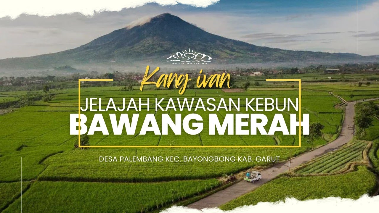 Jelajahi kawasan kebun bawang merah Bayongbong-Garut, indah,sejuk asri ...