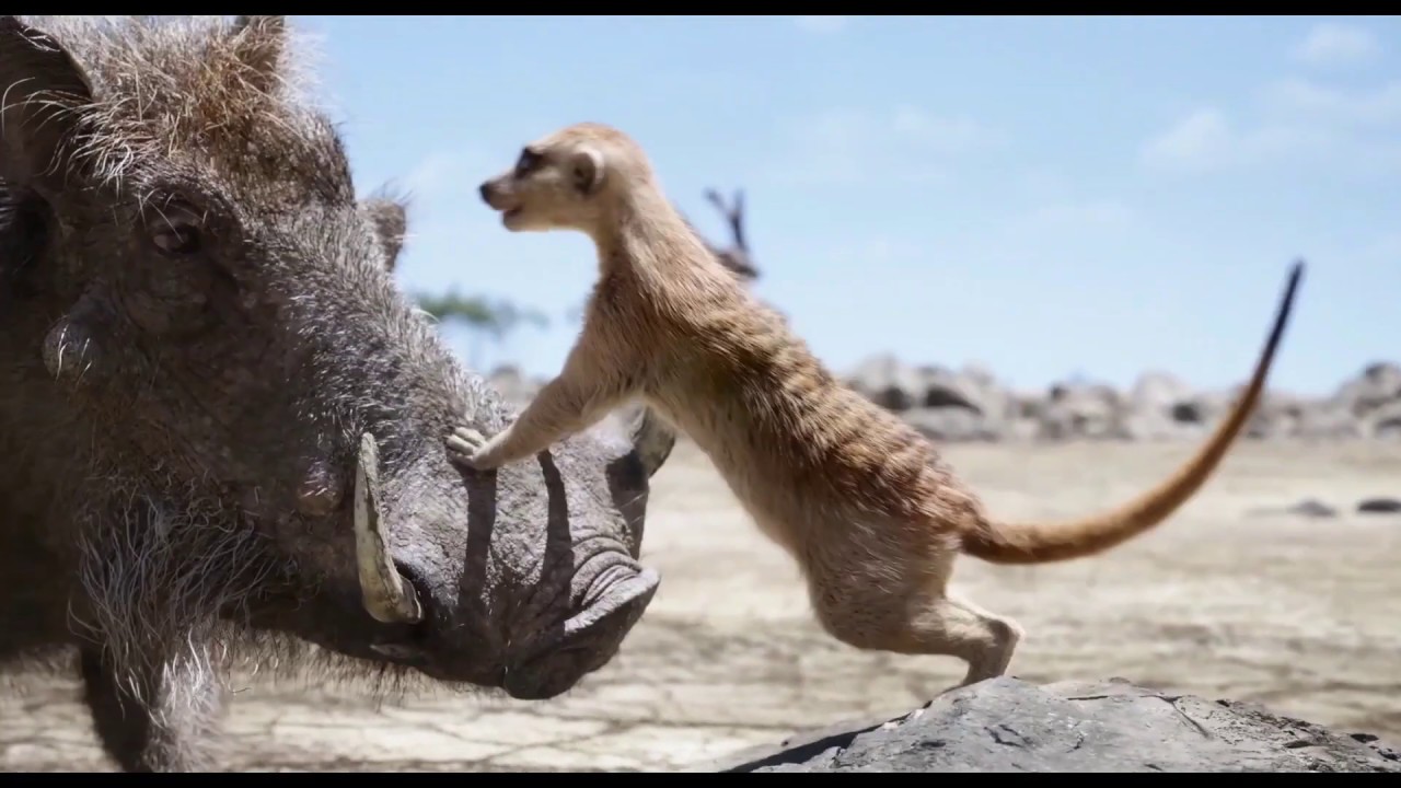 Timón y Pumba encuentran a Simba Clip 2019 (Trailer Español Latino ...