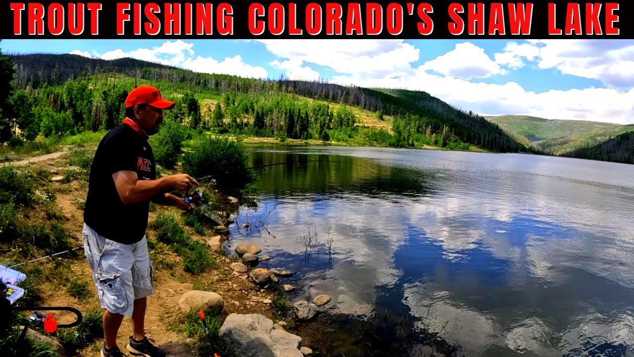 Trout Fishing Colorado's Shaw Lake - YouTube