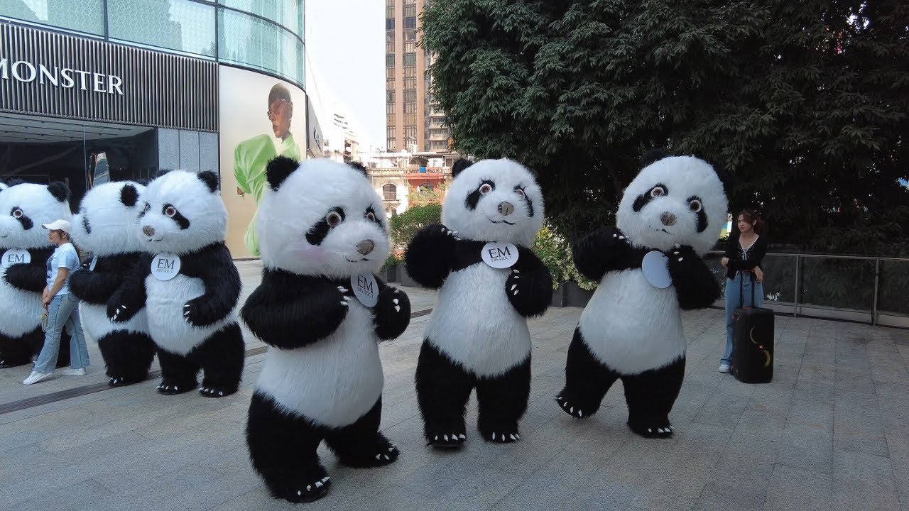 【4K THAILAND】Cute Panda Dance Show in Bangkok | Chinese New Year 2025 ...