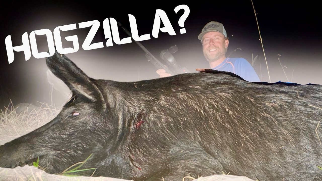 HOGZILLA Quest! | DID WE FIND HOGZILLA?! | Thermal Hog Hunting - YouTube