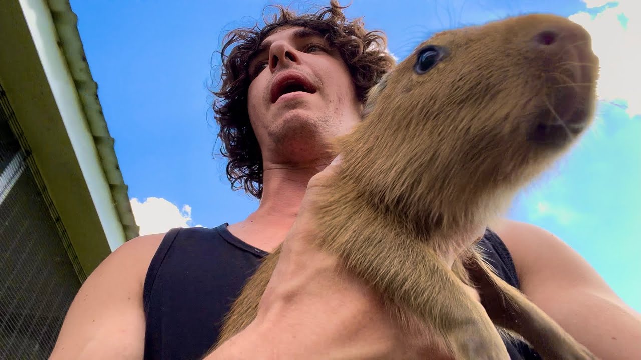 I Stole a Capybara - YouTube