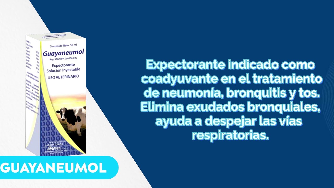 Guayaneumol de Brovel - ¿Para que sirve? - YouTube