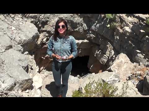Tlahualilo, Durango: Historia & Desarrollo Agrícola | Basado En Hechos ...