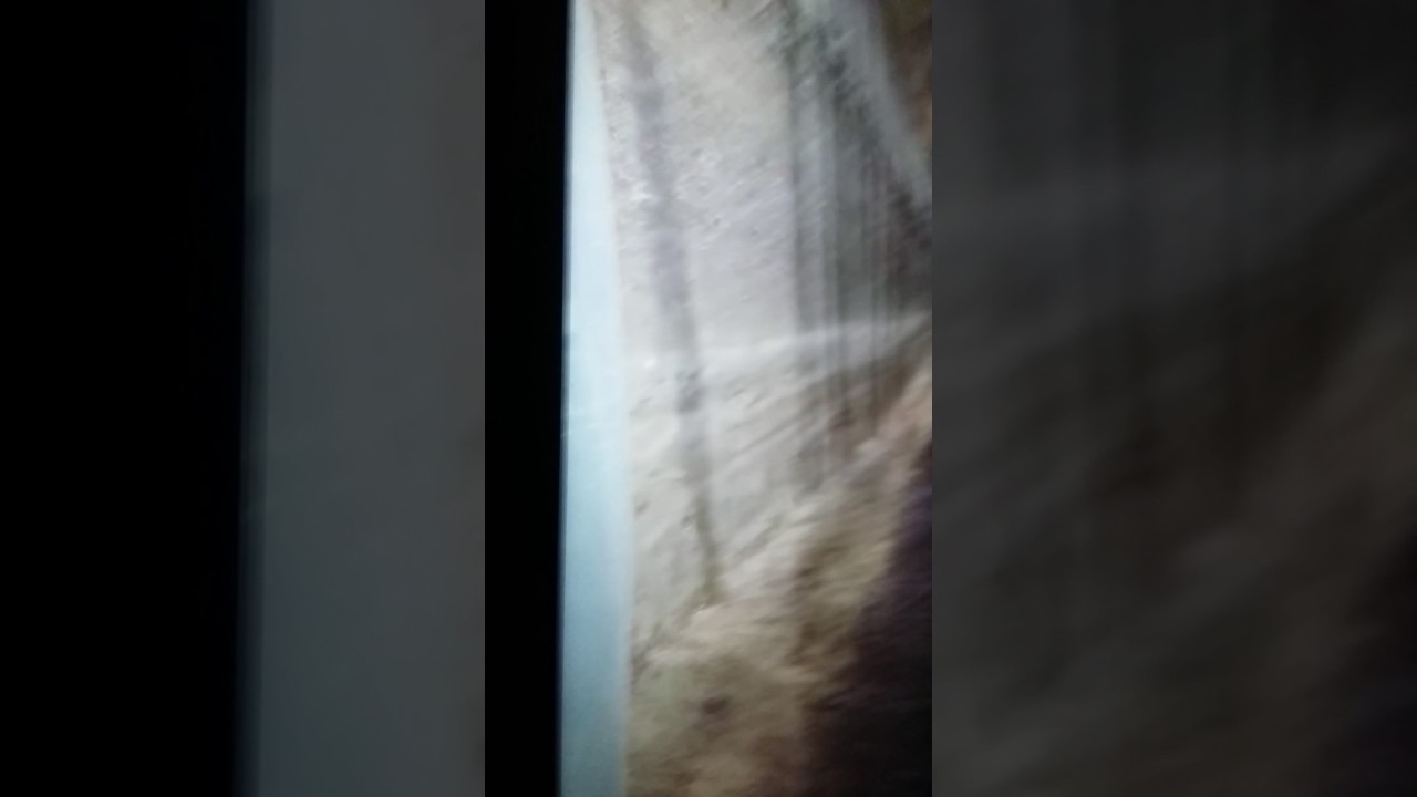 Bever hunting - YouTube